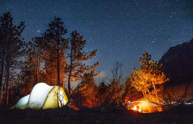 7 Things to keep in mind for a forest camping | Our Own Startup